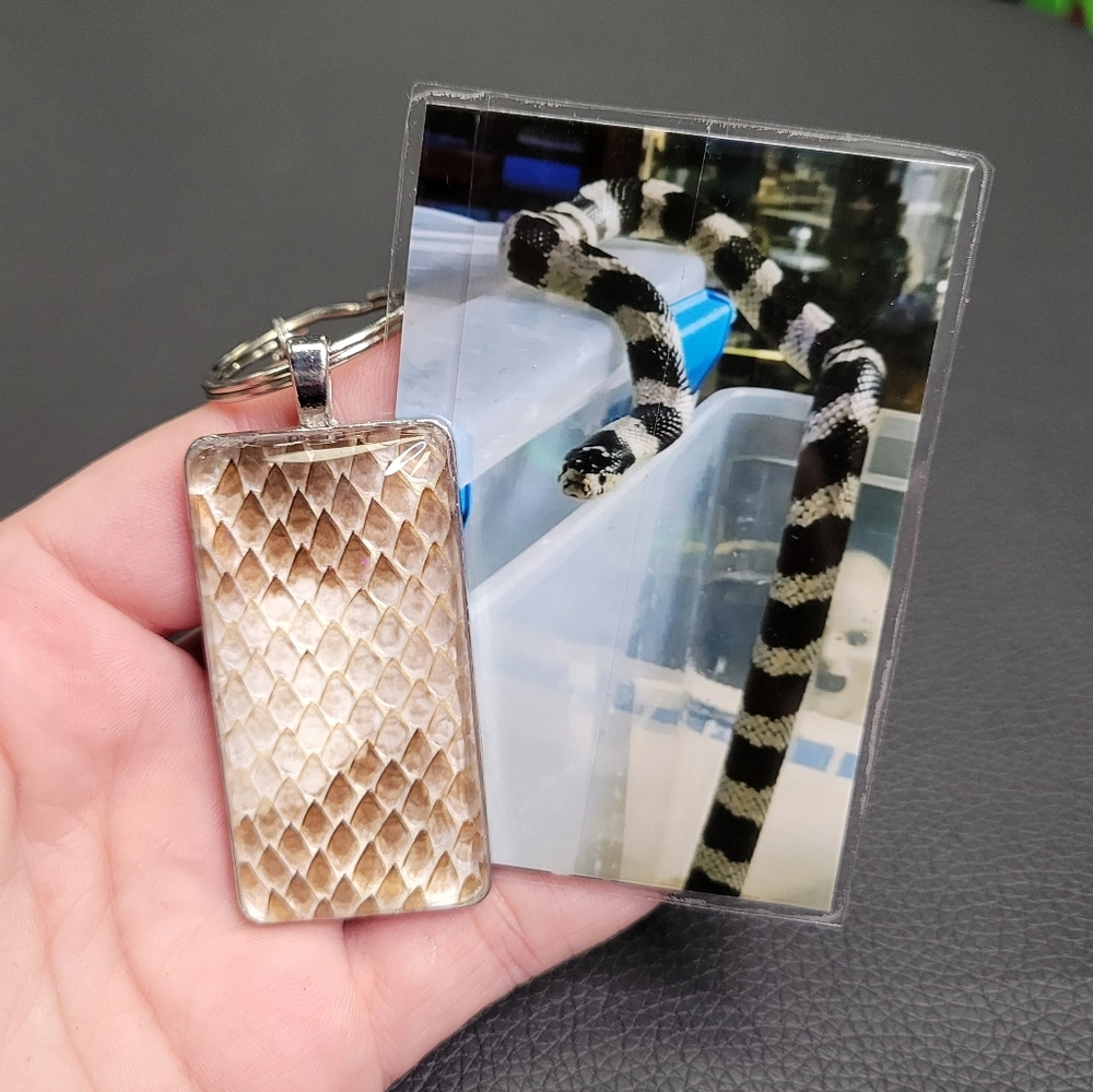 Snake Shed Keychain - Gem
